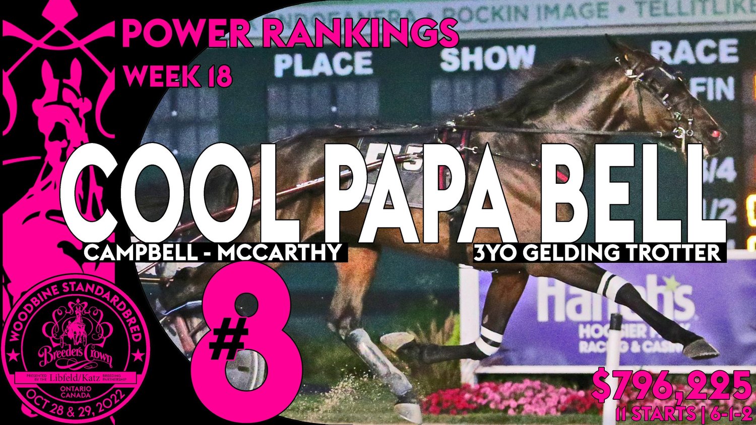 Top three unchanged in Hambletonian Society/Breeders Crown poll ...