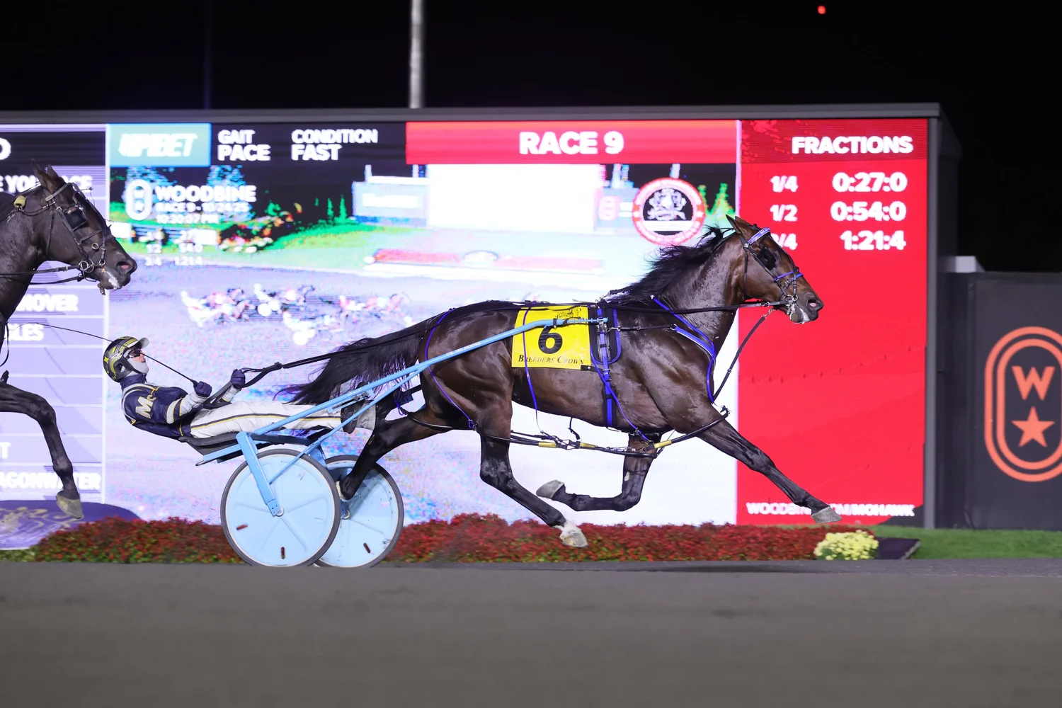 Beau Jangles | 2CP — Hambletonian Society Inc