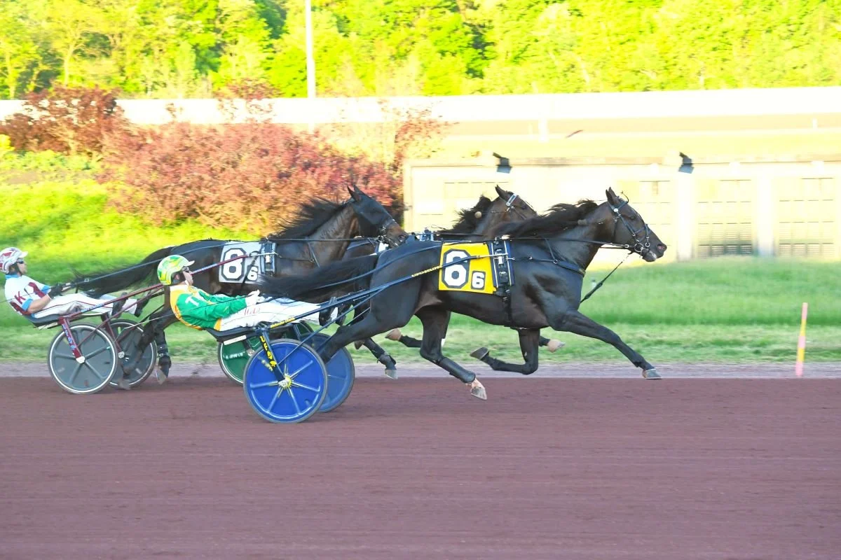 PA All Stars — Hambletonian Society Inc