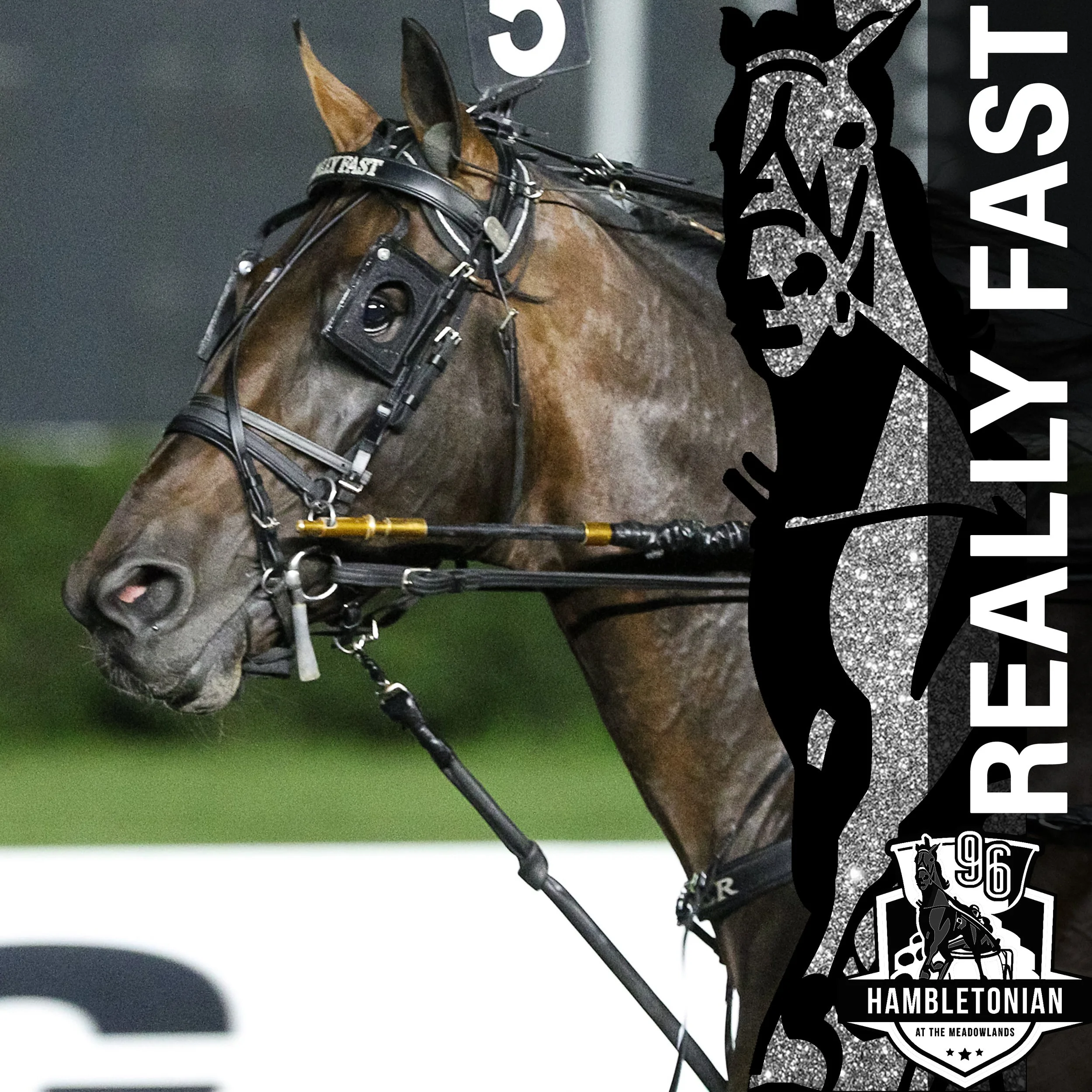 2021 | Captain Corey — Hambletonian Society Inc