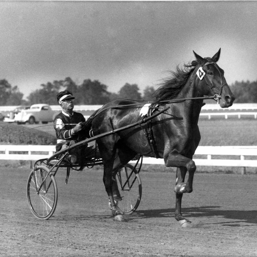 2022 Hambletonian media Guide — Hambletonian Society Inc