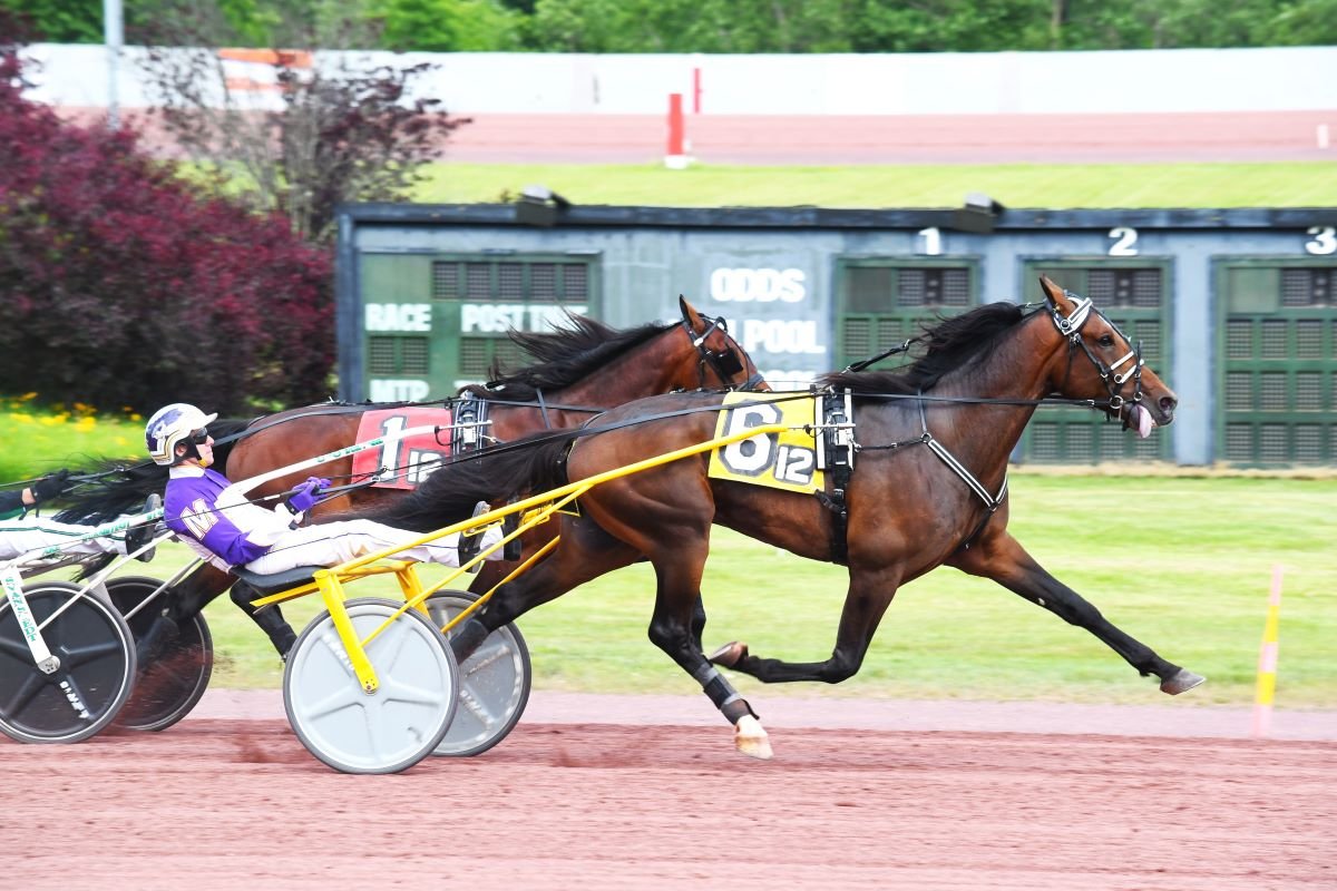 Hambletonian Society Inc