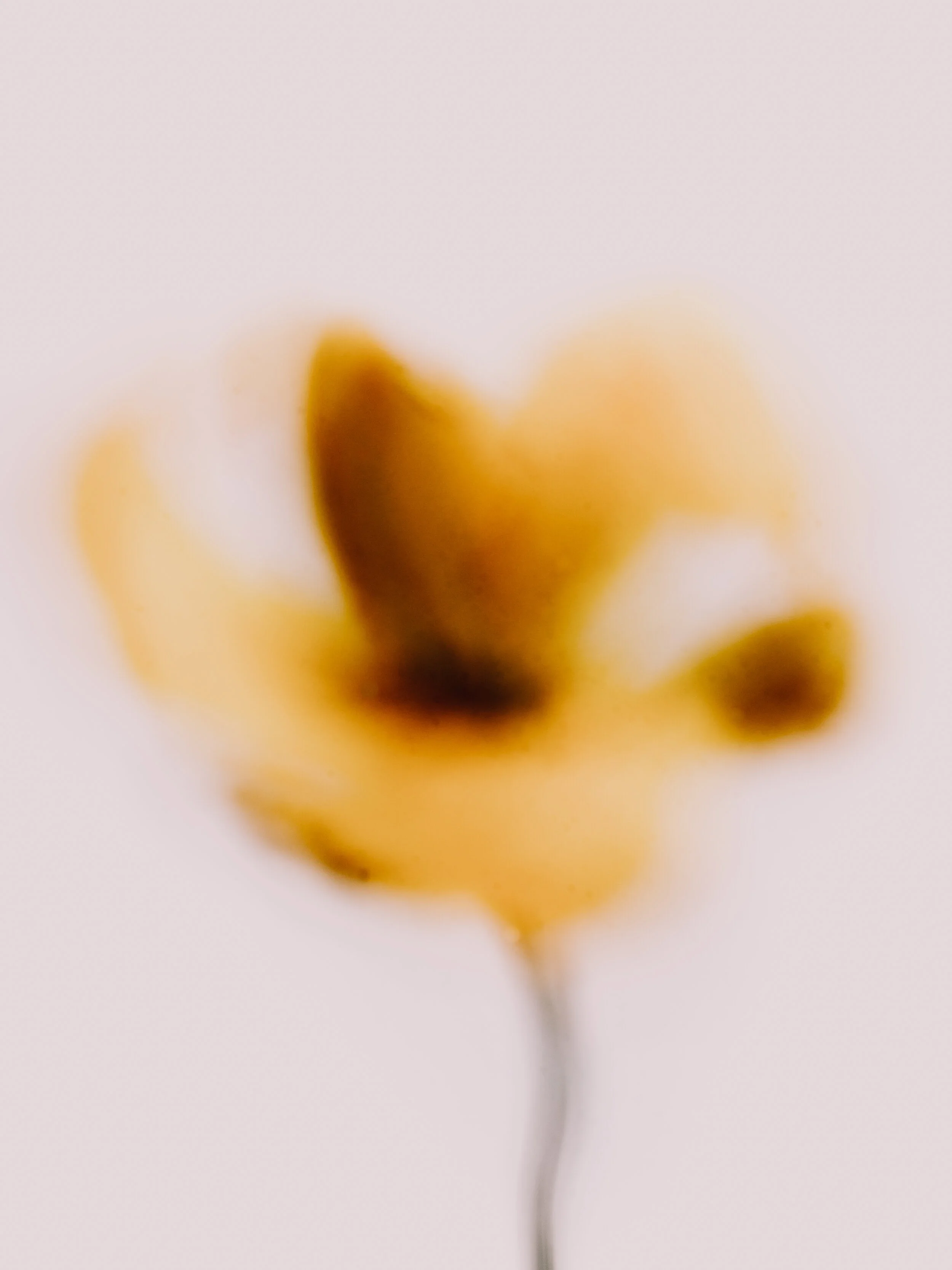 Merette Uiterwaal — Fresh Eyes