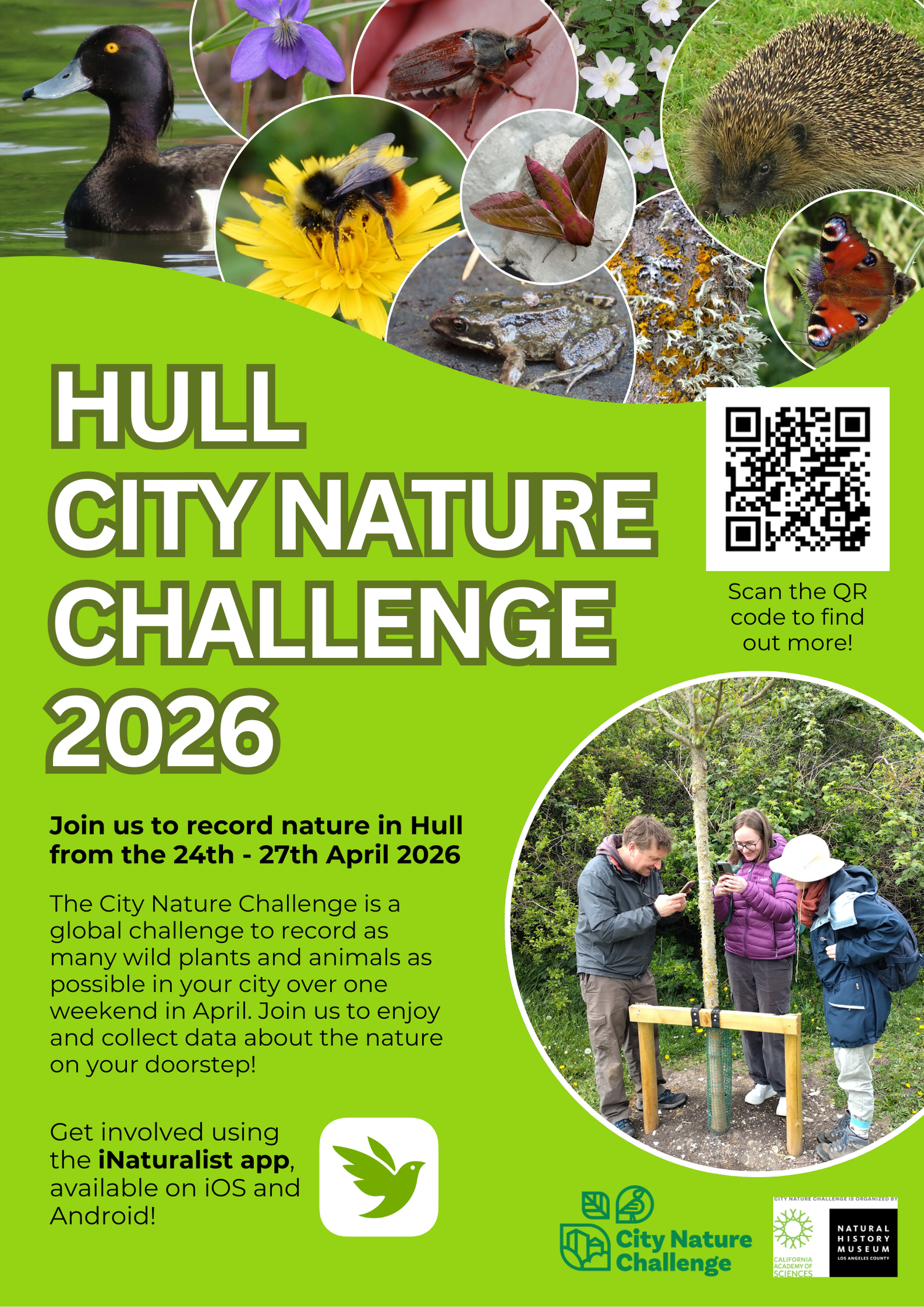 Hull City Nature Challenge 2026 — neyedc