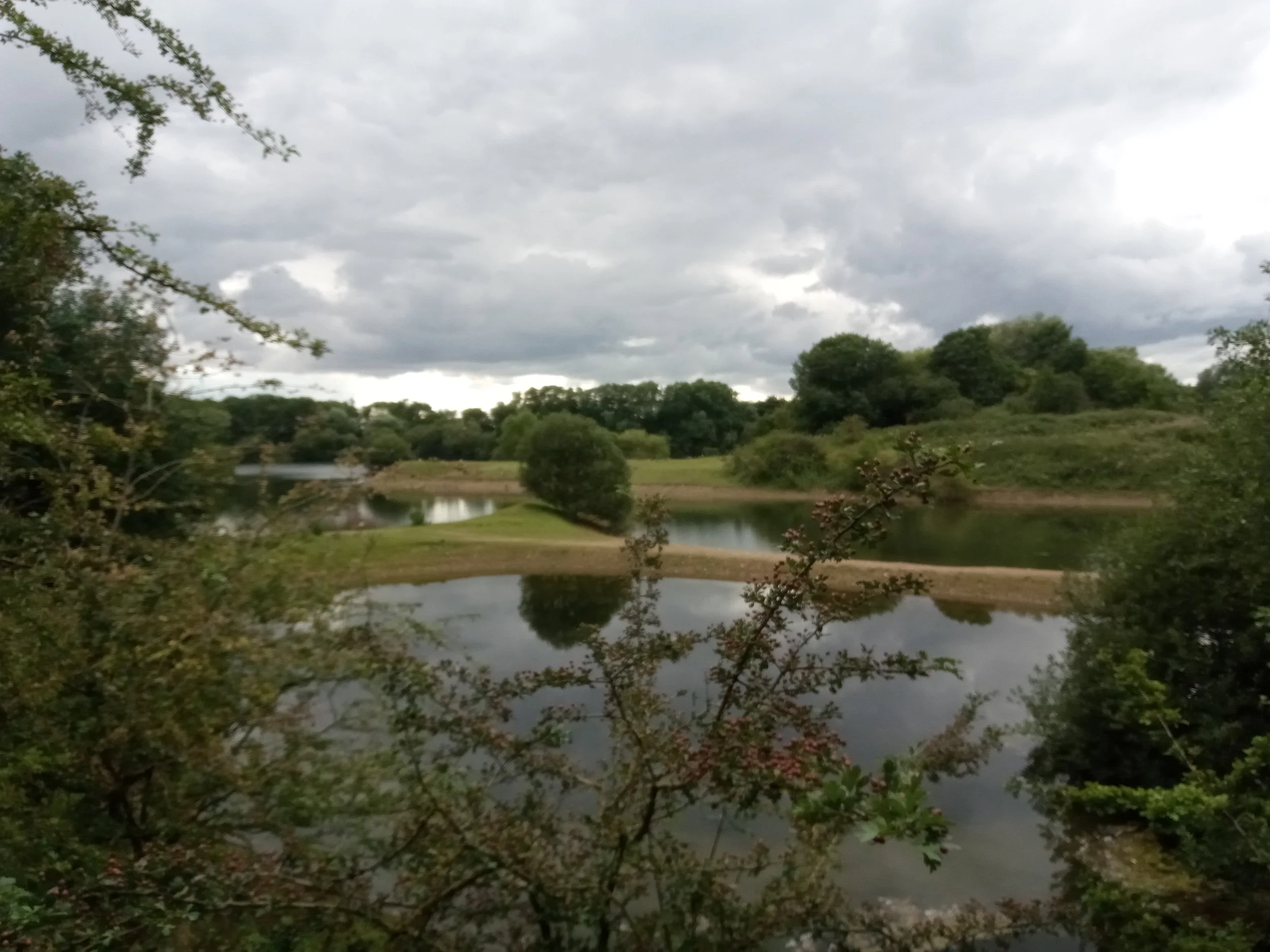 Follow a Local Wildlife Site through the system - Part I — neyedc