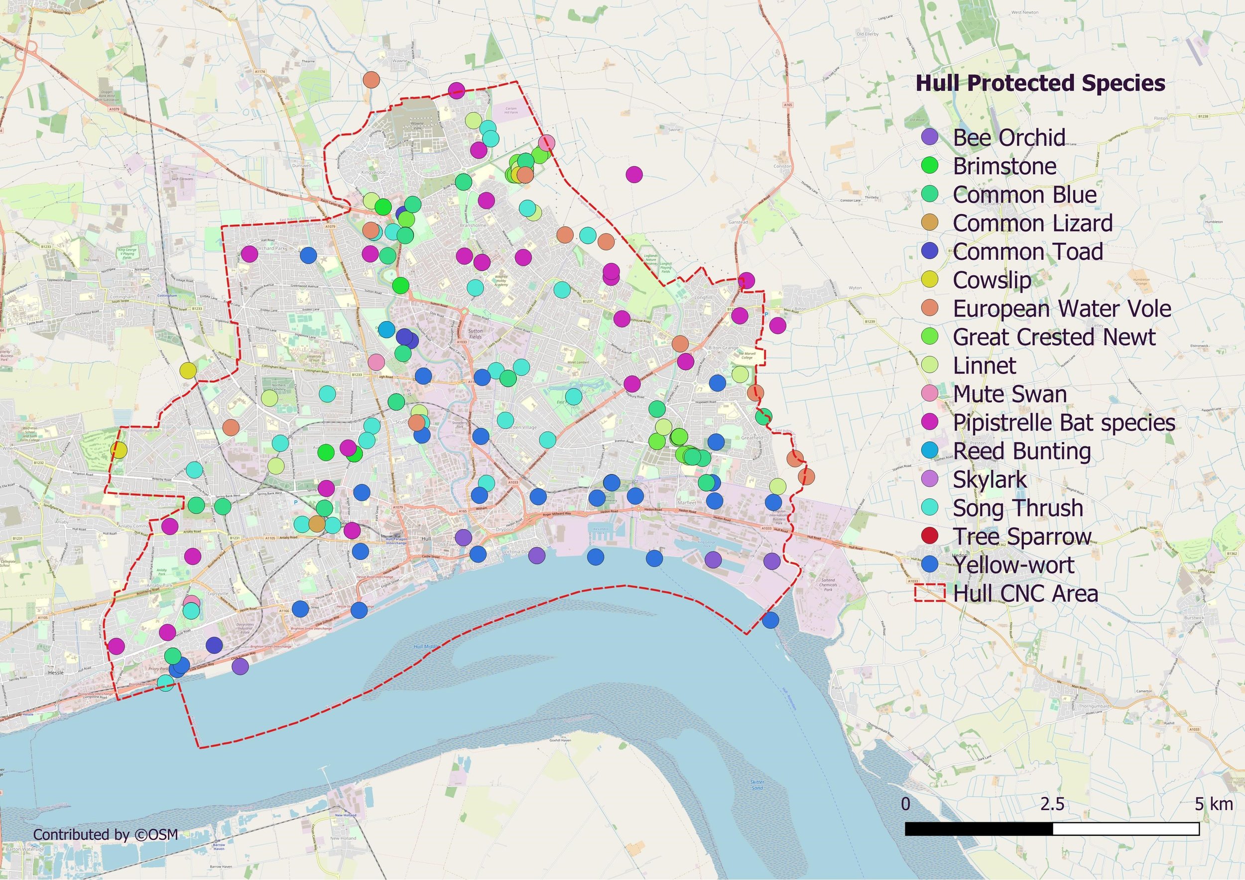 Entering the World of NEYEDC — neyedc
