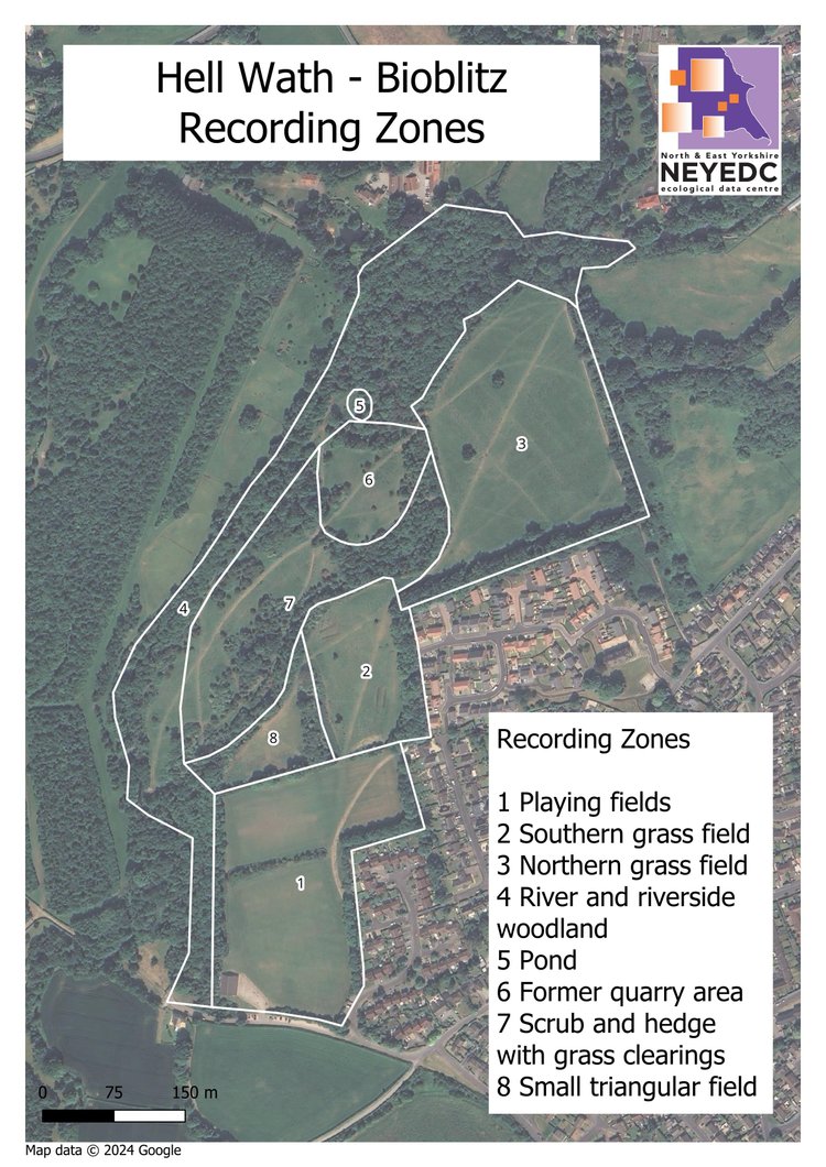 Map of the Month - June 2024 — neyedc