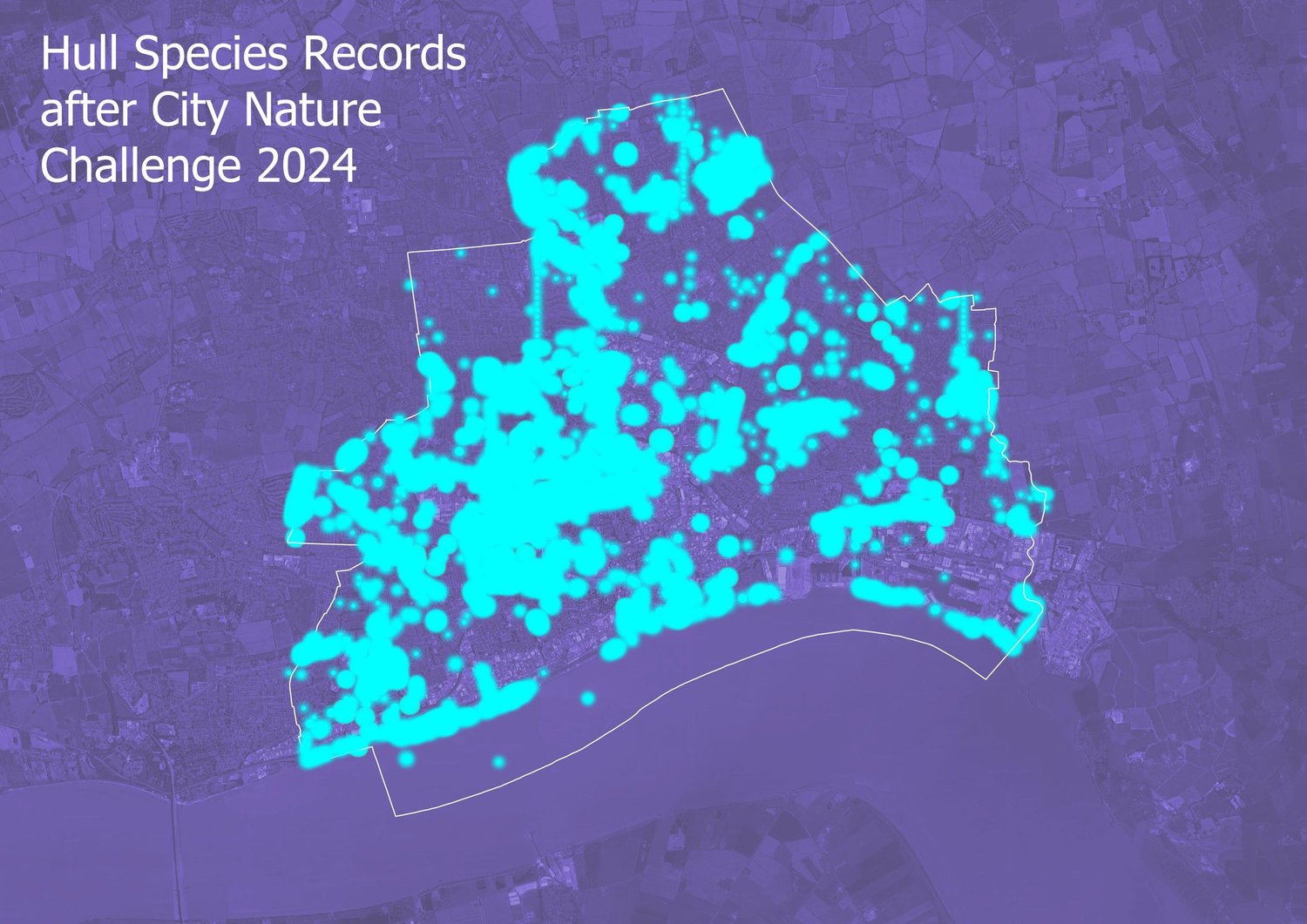 Hull City Nature Challenge 2024 - the results are in! — neyedc