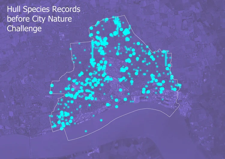 Hull City Nature Challenge 2024 - the results are in! — neyedc