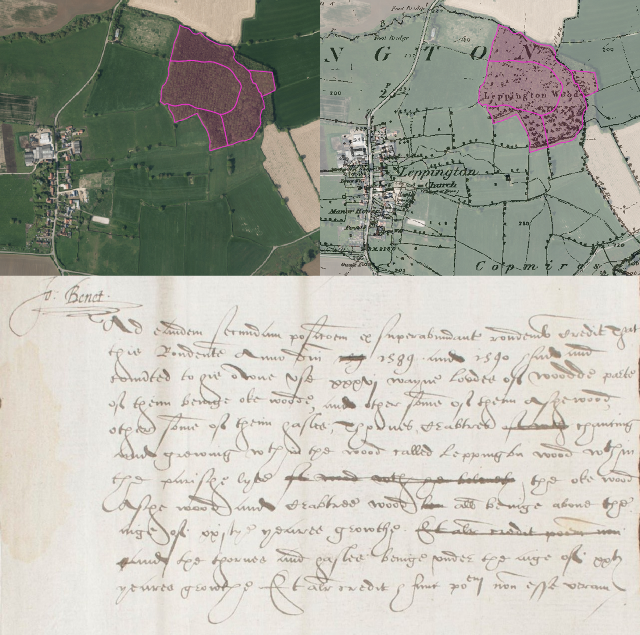 Updating the Ancient Woodland Inventory: Maps, tithes, and archives ...