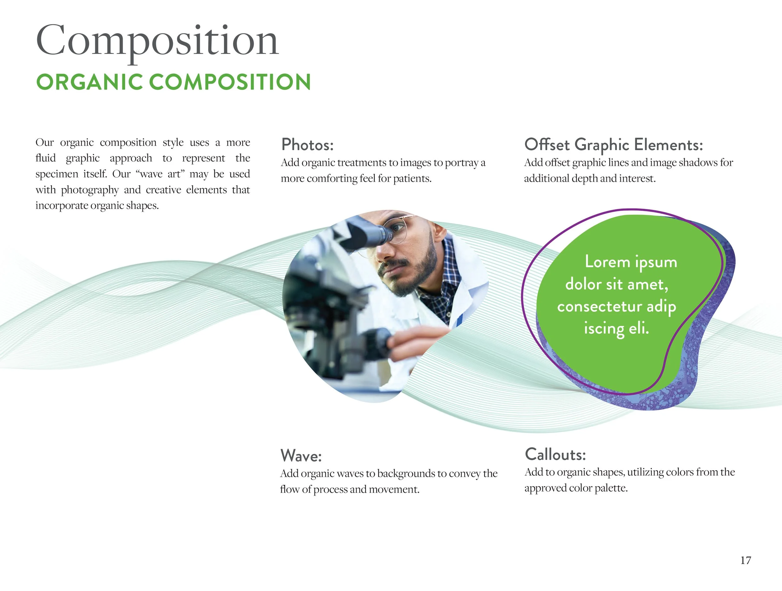 Brand Guide — Sagis