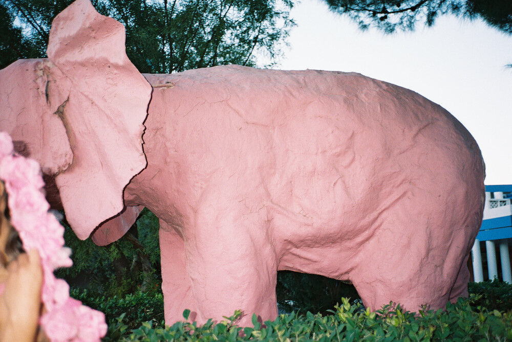 Surely! Vintage Las Vegas Iconic Showgirl Inspired Pink Elephant — Sure ...