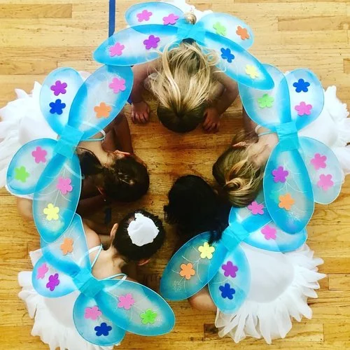 MVSA Summer Programs — MVSA