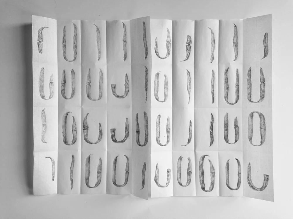 Strata: Elise Ashby & Lisa Denyer — the Fourdrinier