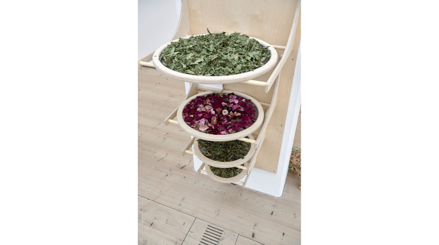 Review of ‘The Waiting Gardens of the North’, Michael Rakowitz at ...