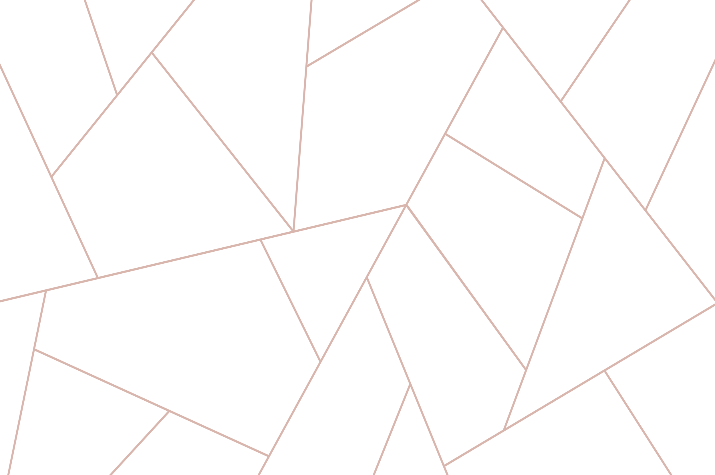 Angela Madden Official