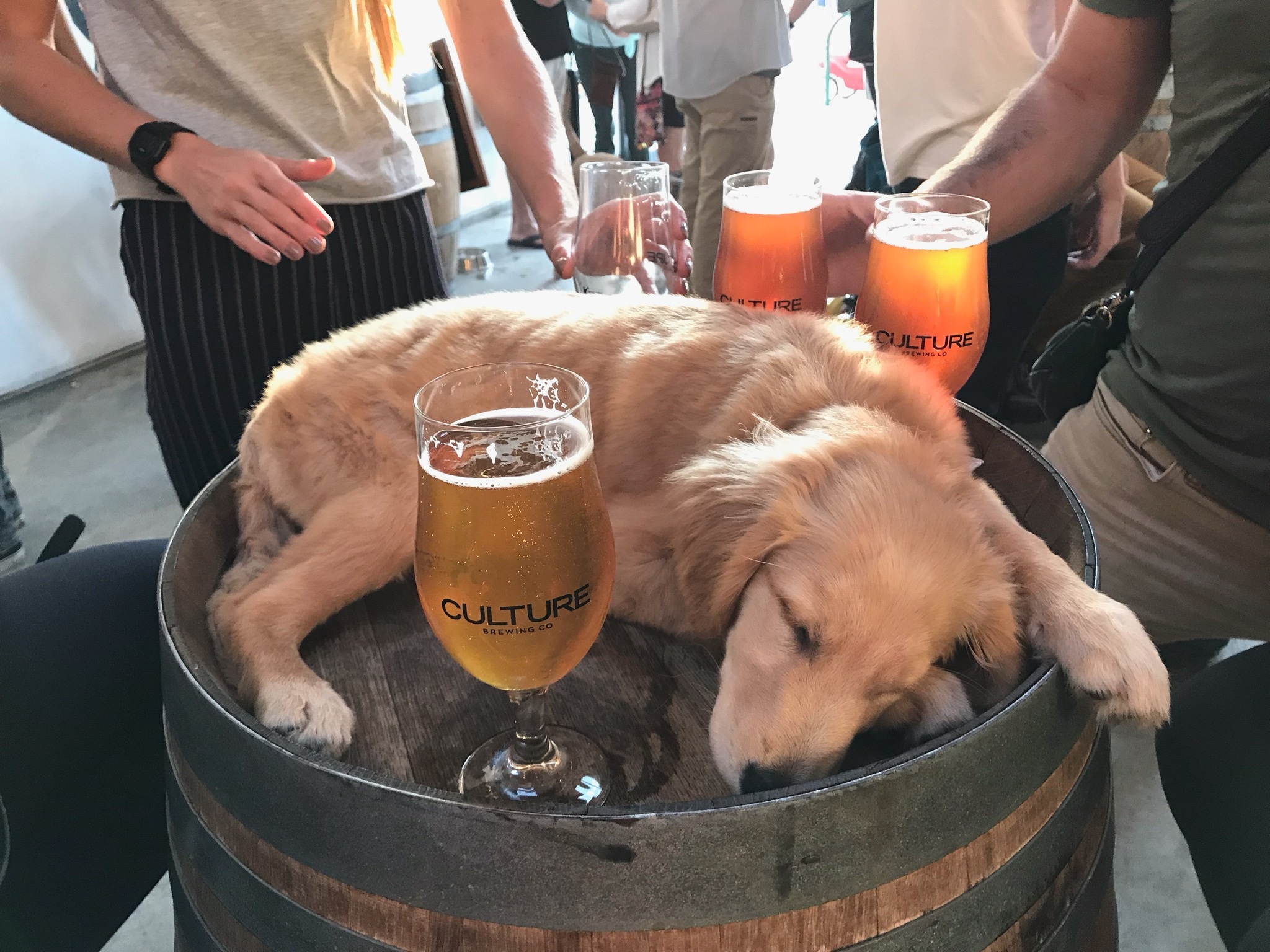 Encinitas — Culture Brewing Co