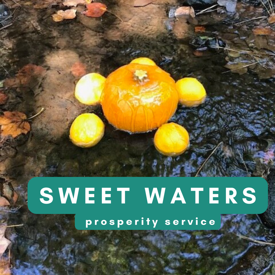 Cymbees Featured — B The Vibe