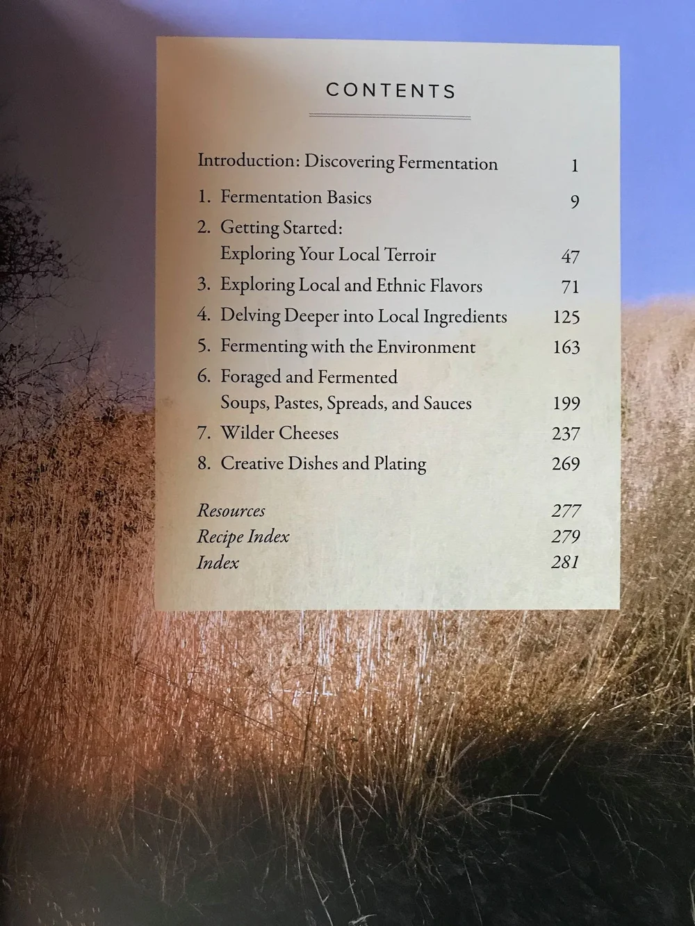 Wildcrafted Fermentation — PALEOTECHNICS