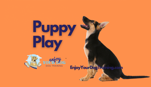 Online Dog Training Courses & Puppy Classes — Enjoy Your Dog
