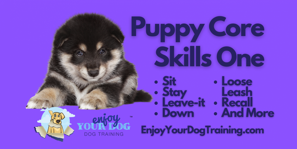 Online Dog Training Courses & Puppy Classes — Enjoy Your Dog