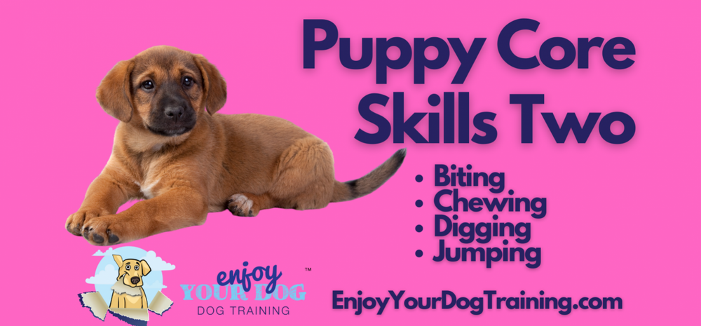 Online Dog Training Courses & Puppy Classes — Enjoy Your Dog