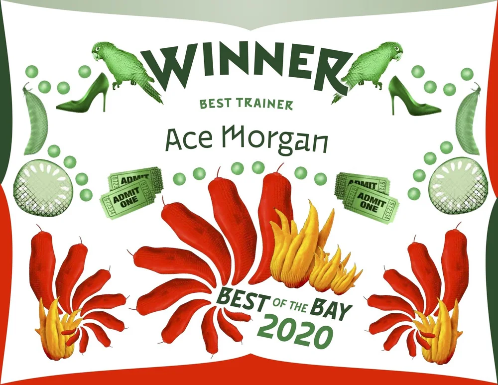 ACE MORGAN FITNESS | Ace Morgan Fitness