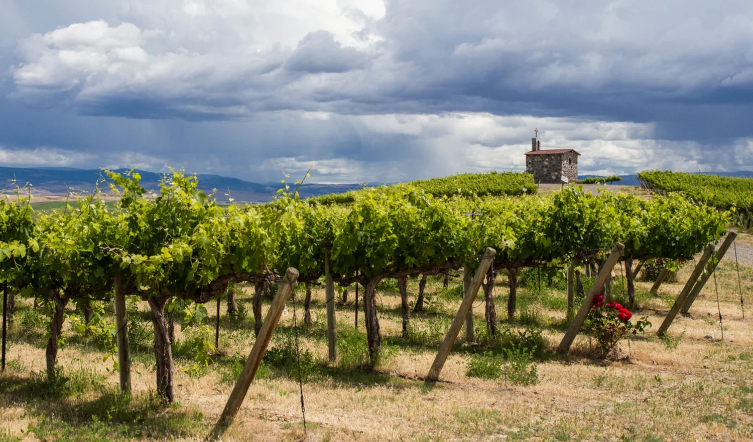 Eight Bells Winery