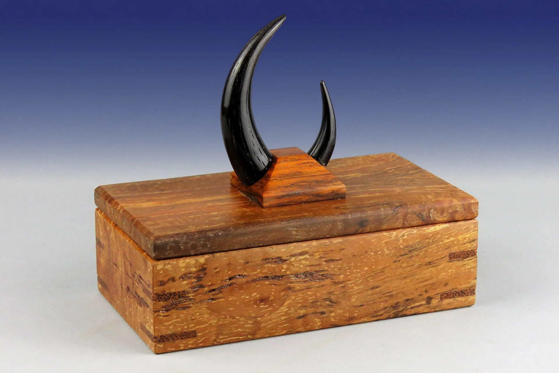 Unusual Handmade Wooden Keepsake Box with Bison Horn Sculpture — Dead ...
