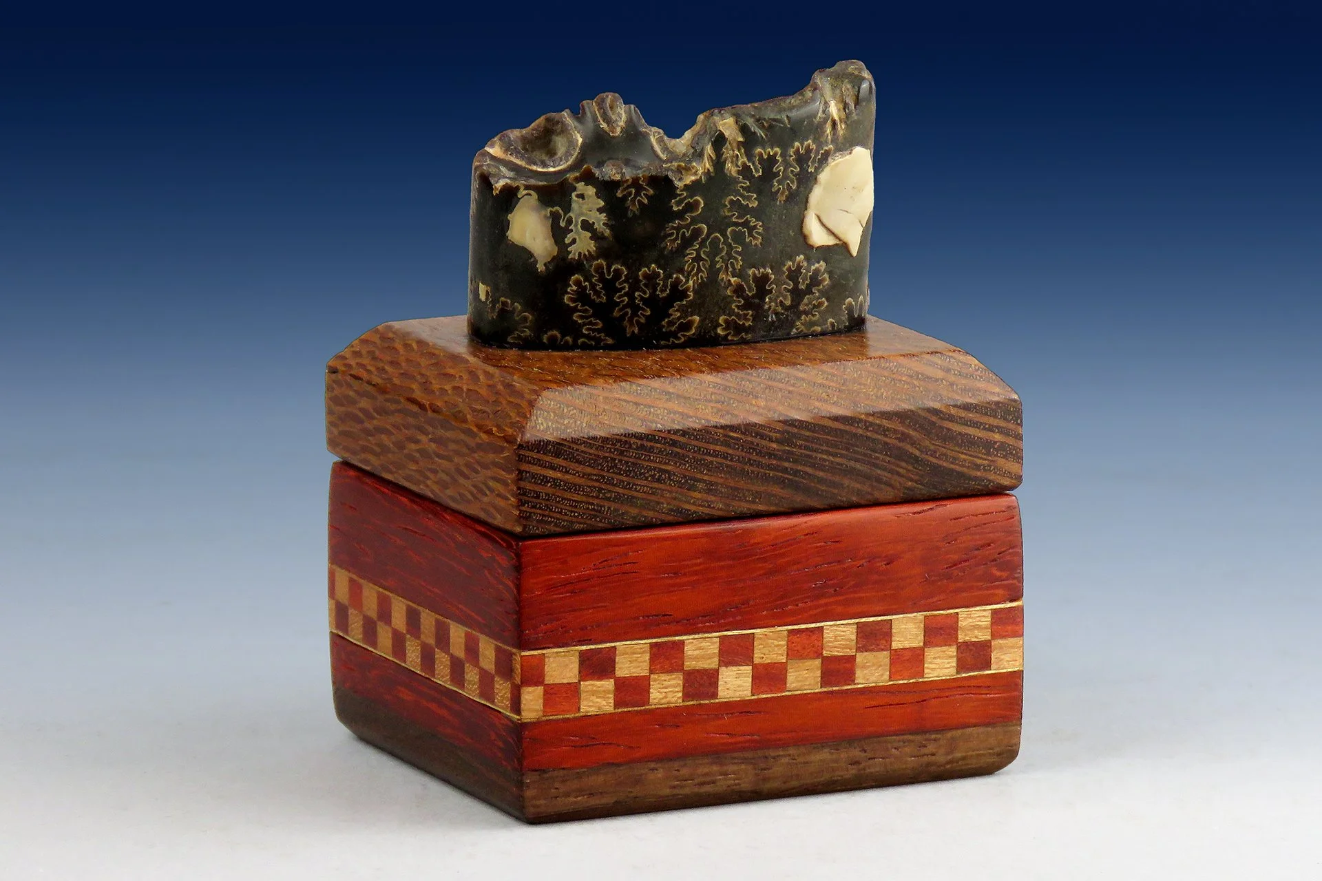 Unique Tiny Handmade Wooden Box with Fossil — Dead Horse Bay Arts Company
