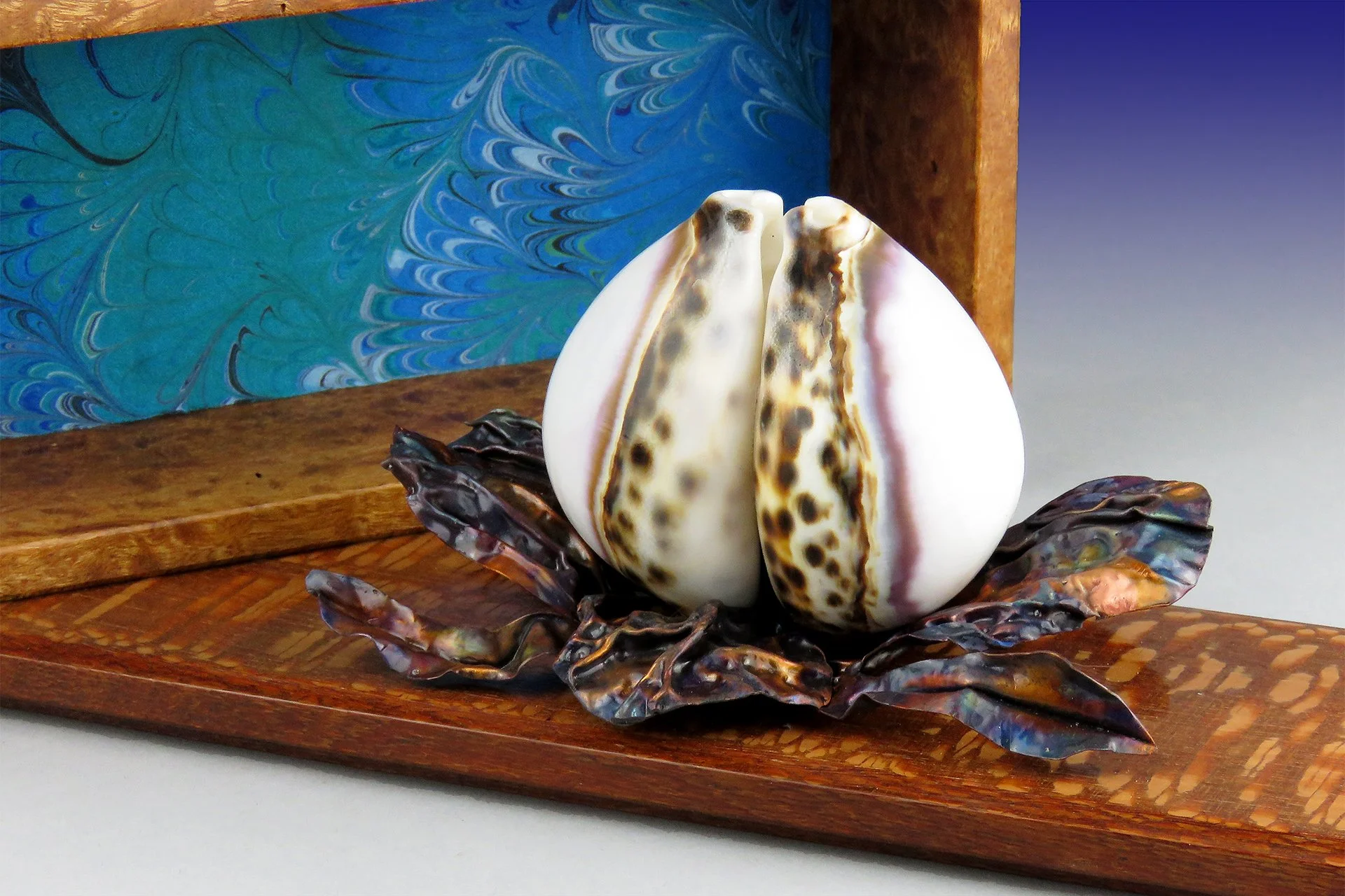 Unusual Handmade Wooden Keepsake Box with Cowrie Shells in Copper ...