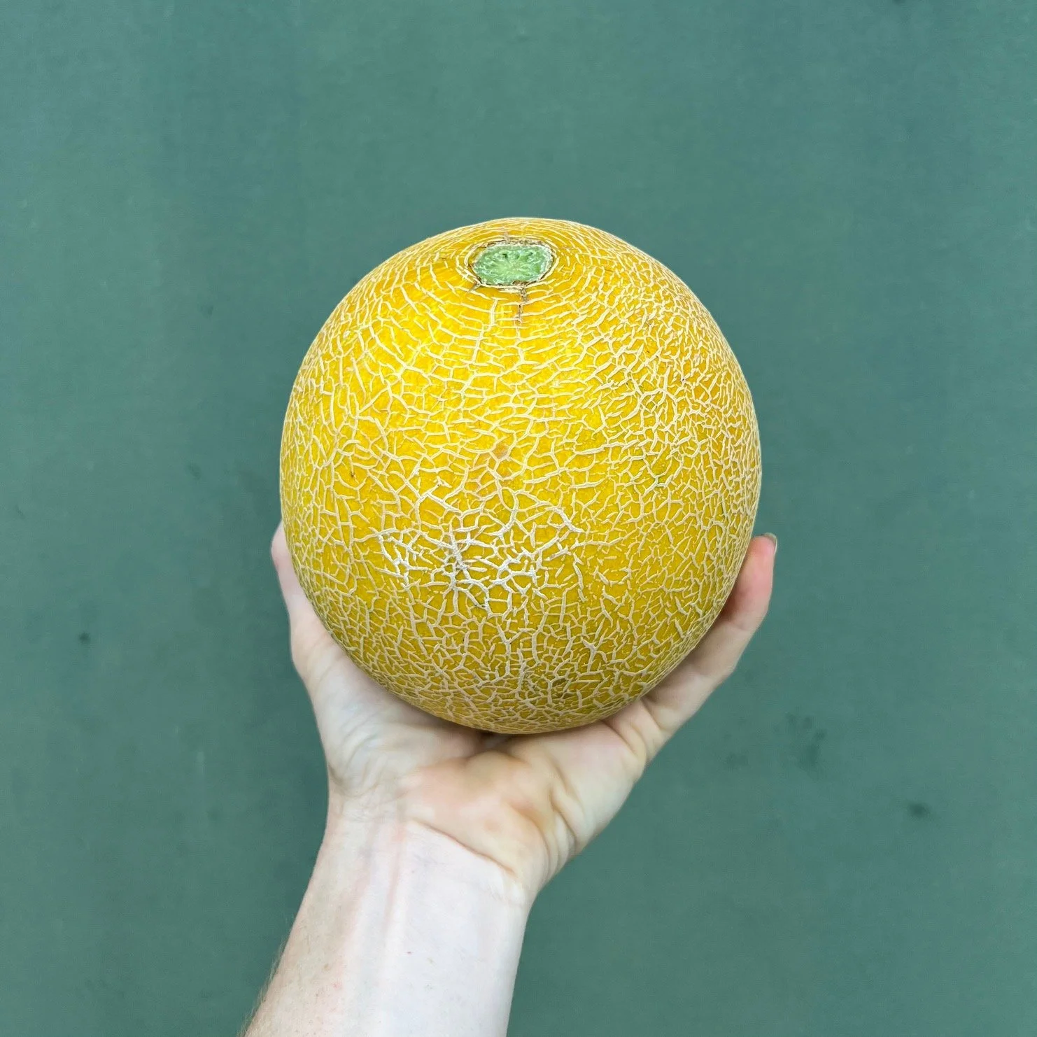 Laughing Buddha Nursery