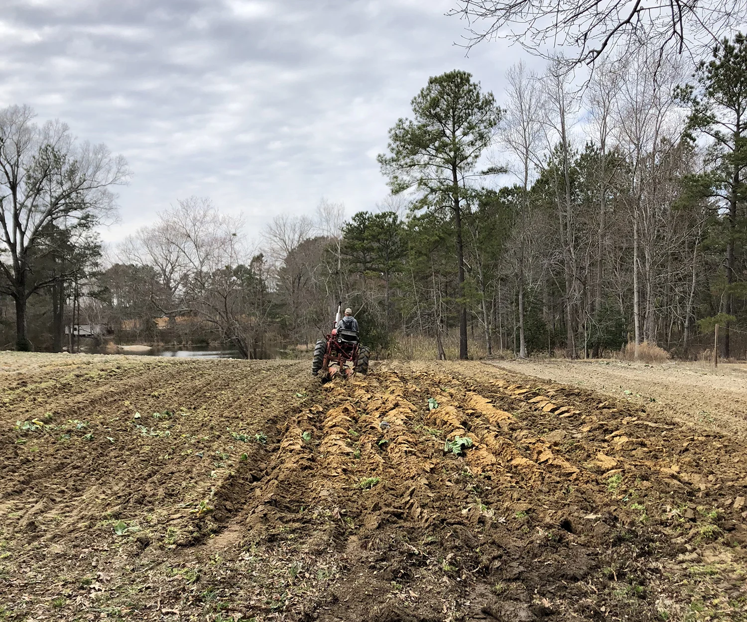 PILOT FARM/HOUSE OF JOY — Logan's Garden Shop