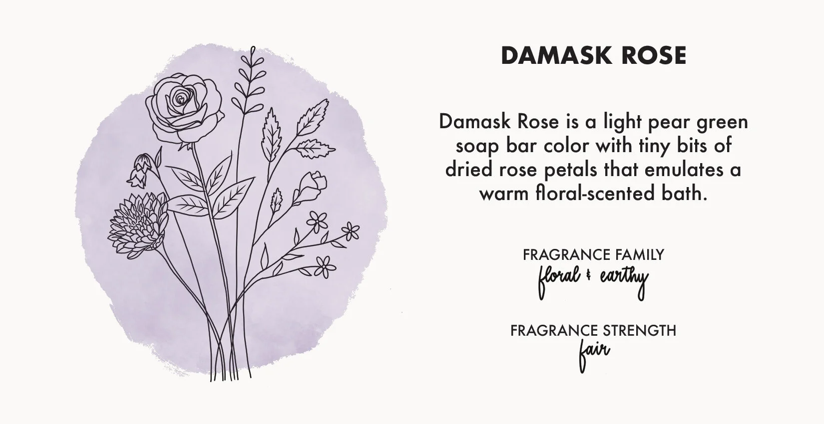 Soap Scent Guide — Mint + Laurel Home