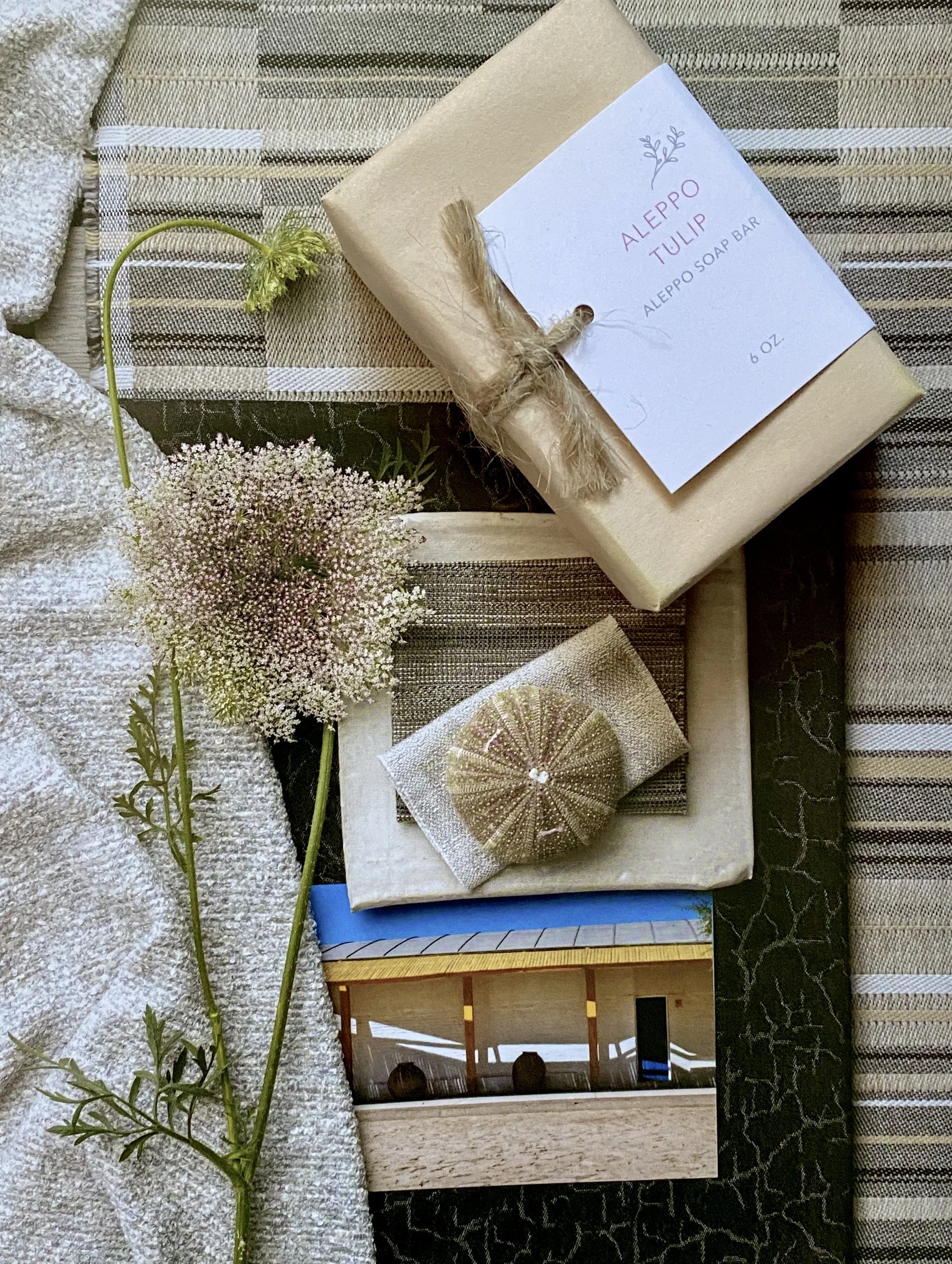 Bath— Mint + Laurel Home