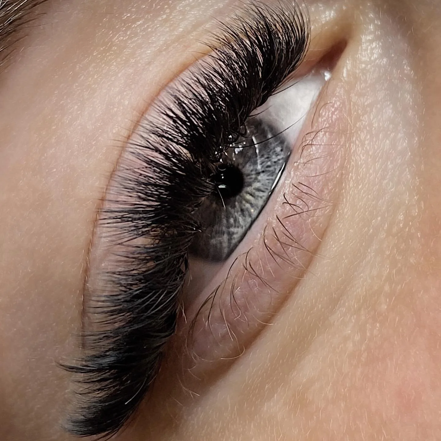 Moda Lash