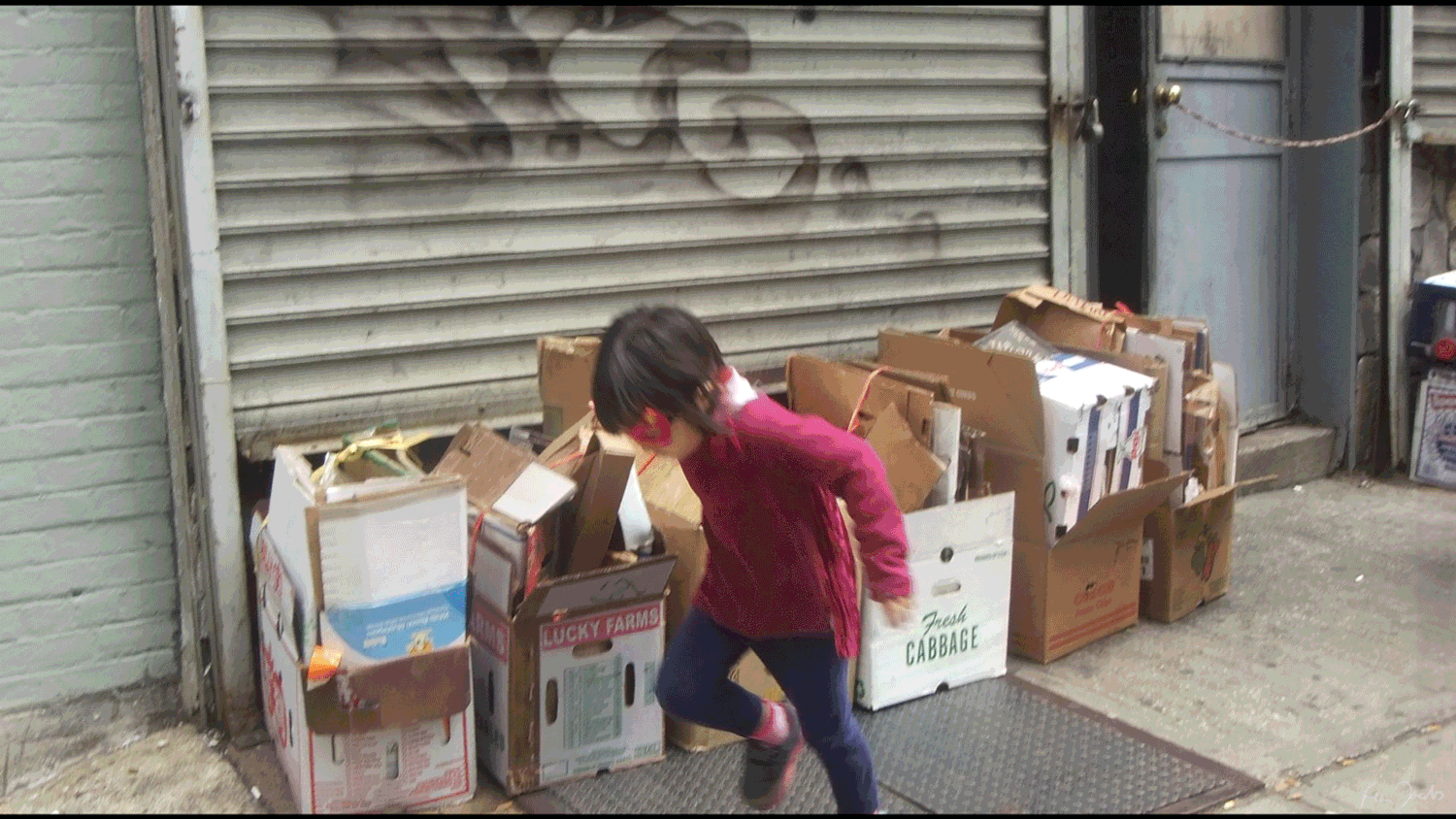 Cardboard Box Homeless Gif