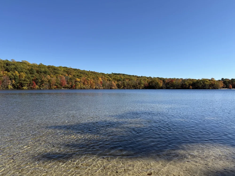 Webster Lake Association