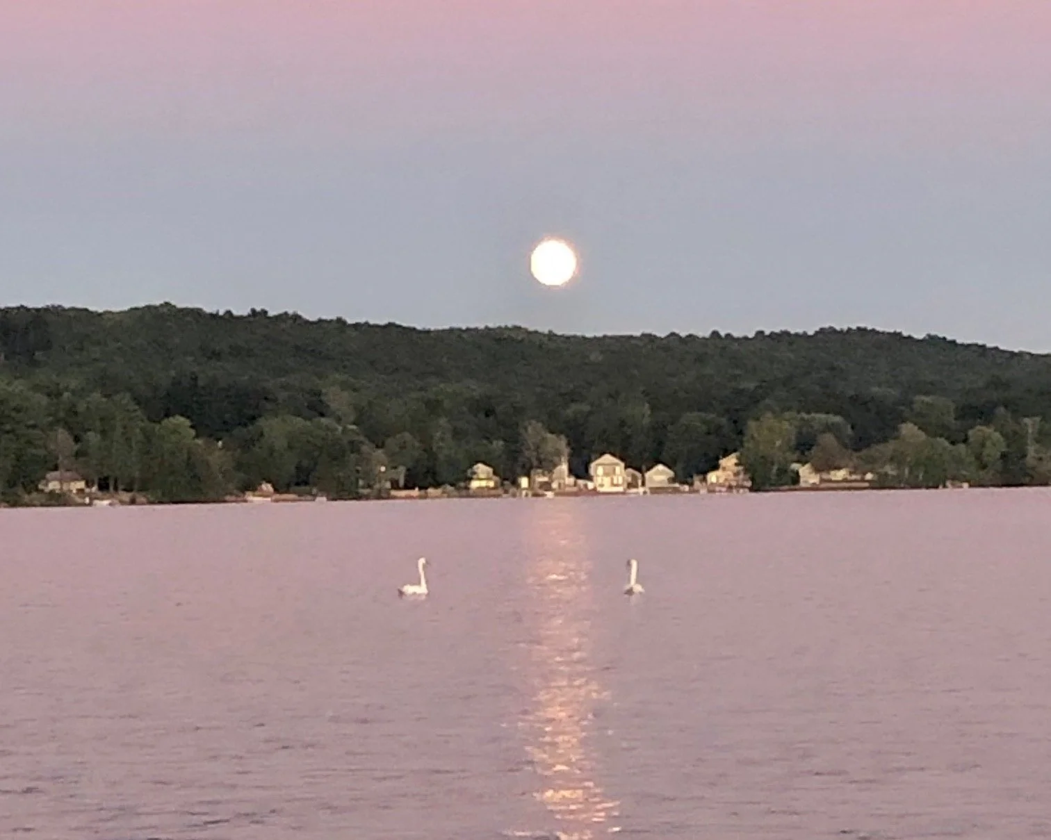 Webster Lake Association