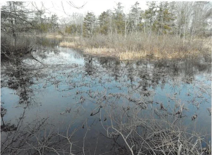 Webster Lake Association