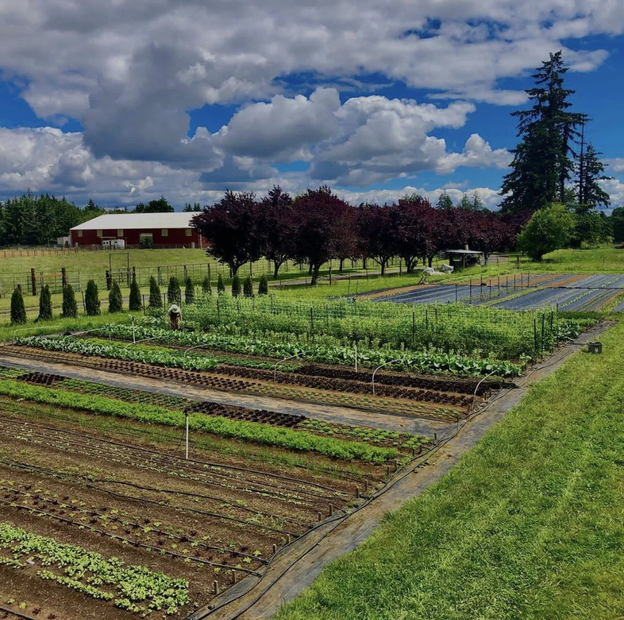 Overcast Farm / Warren, OR