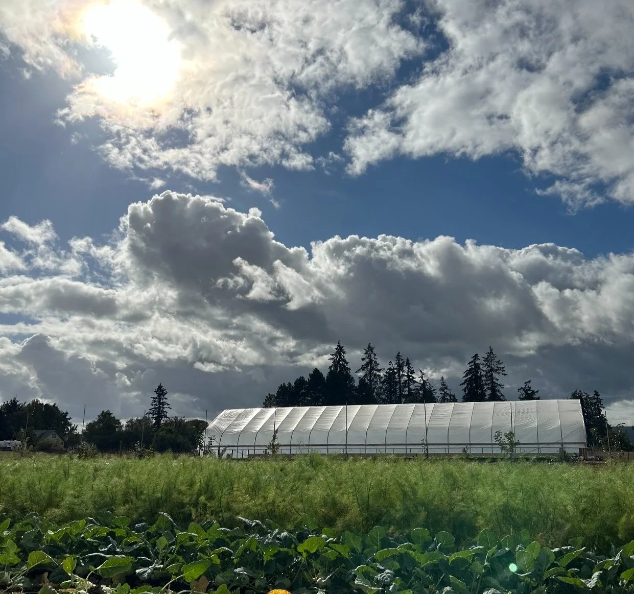 Overcast Farm / Warren, OR