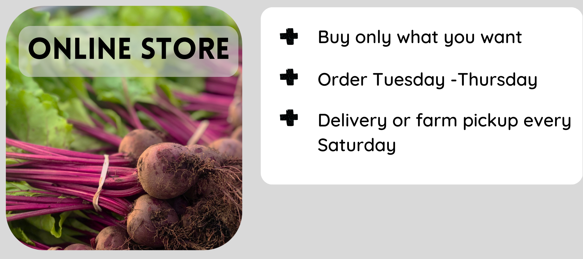 Overcast Farm / Warren, OR