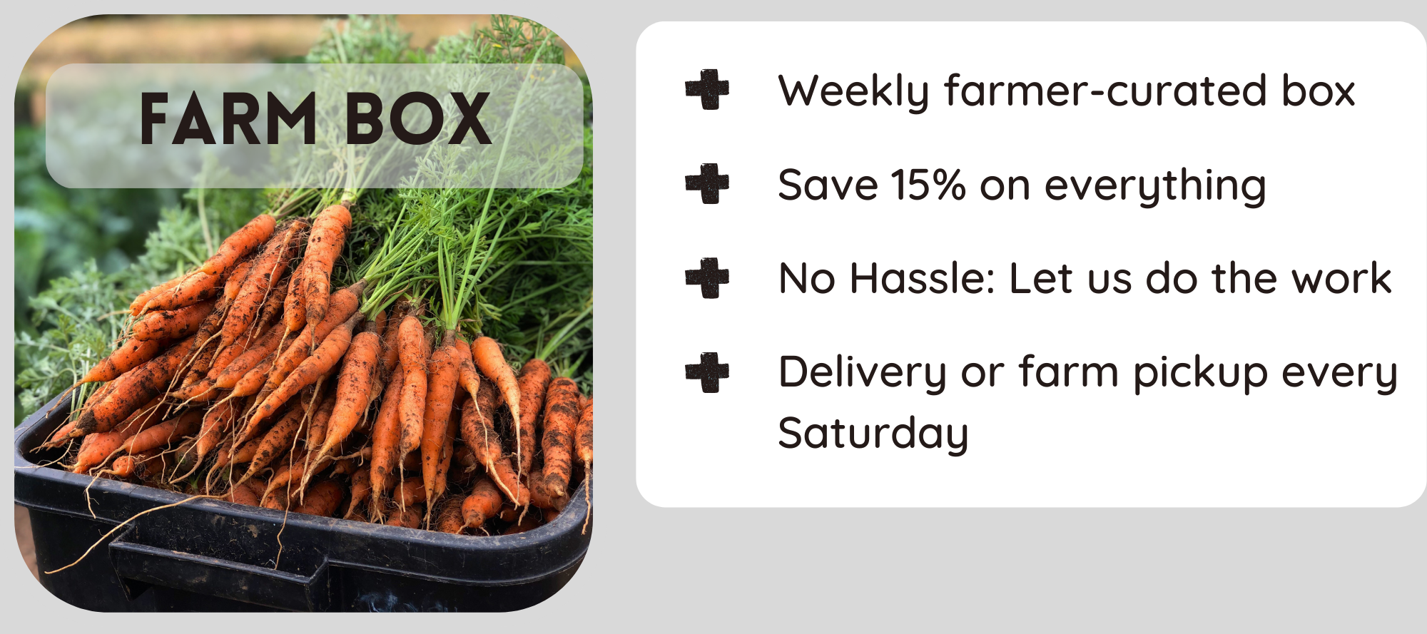 Overcast Farm / Warren, OR