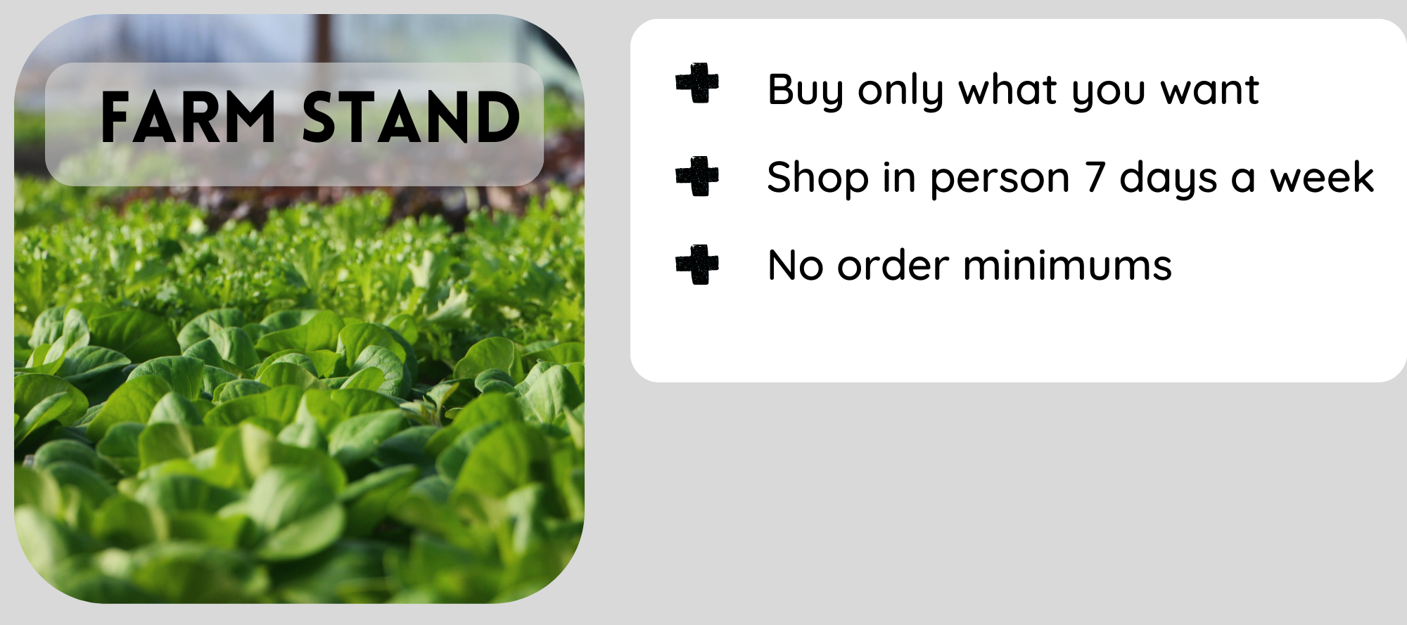 Overcast Farm / Warren, OR