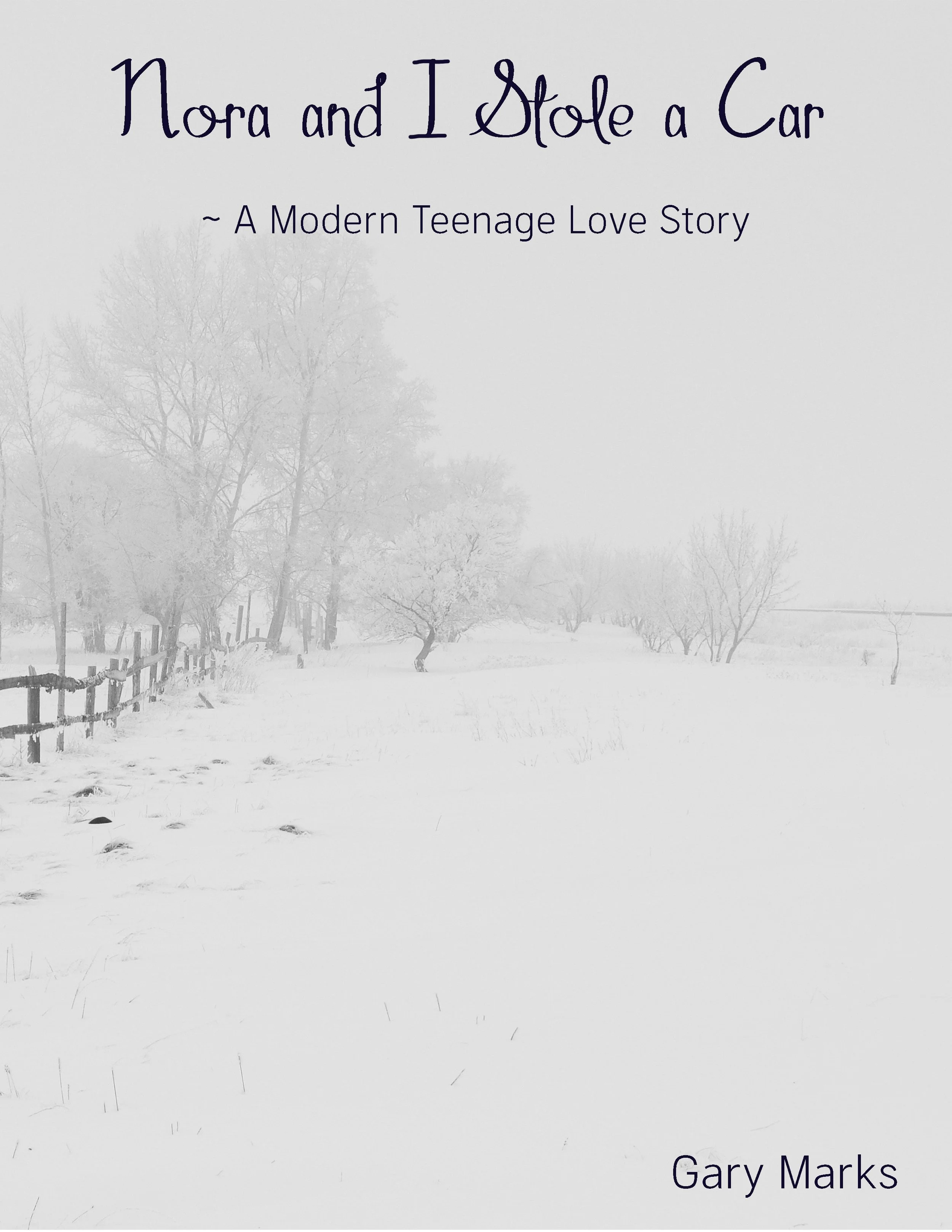 Books — Gary Marks