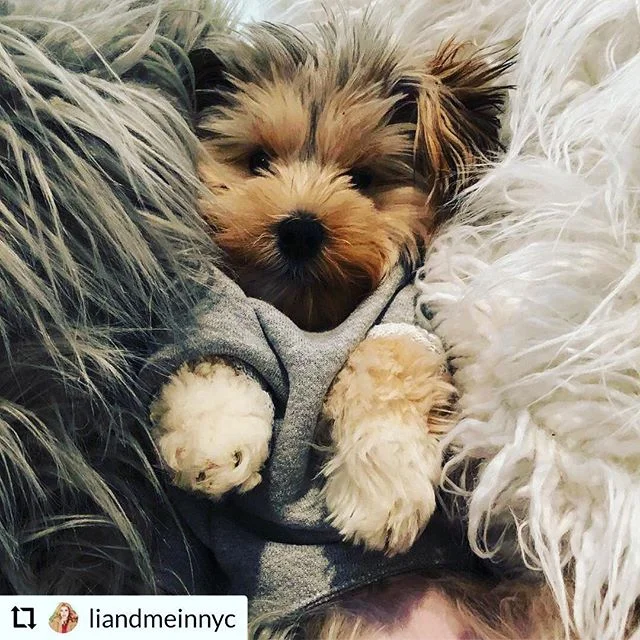 Nurture & Mend Acupuncture