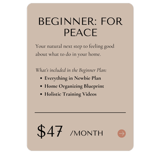 Virtual Organizing Program — Organize For Love