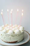 BIRTHDAY FREEBIES 2025 - EVERYTHING YOU CAN GET FREE ON YOUR BIRTHDAY ...
