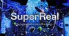 SUPERREAL, NY — Average Socialite